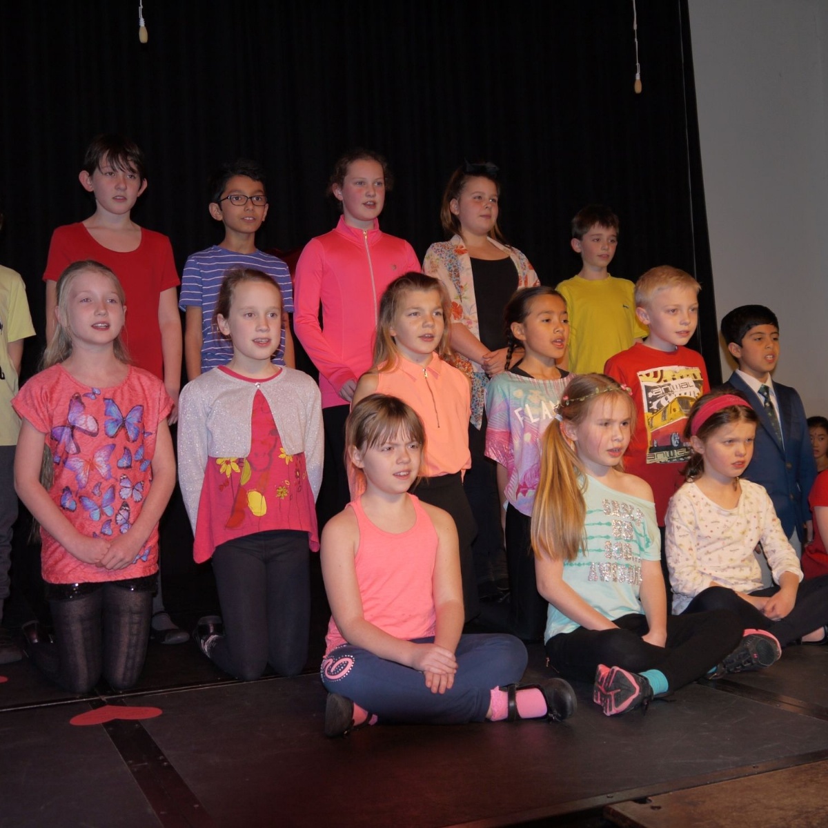 New Haw Community School - Performing Arts Evening