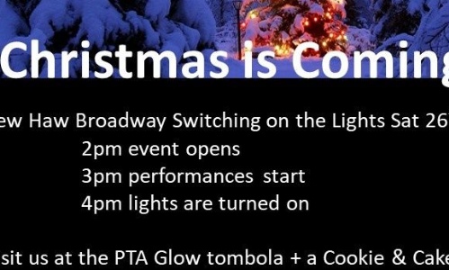 New Haw Community School - The Broadway Christmas light's switch on